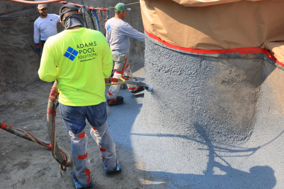 The Process | Pebble Plus