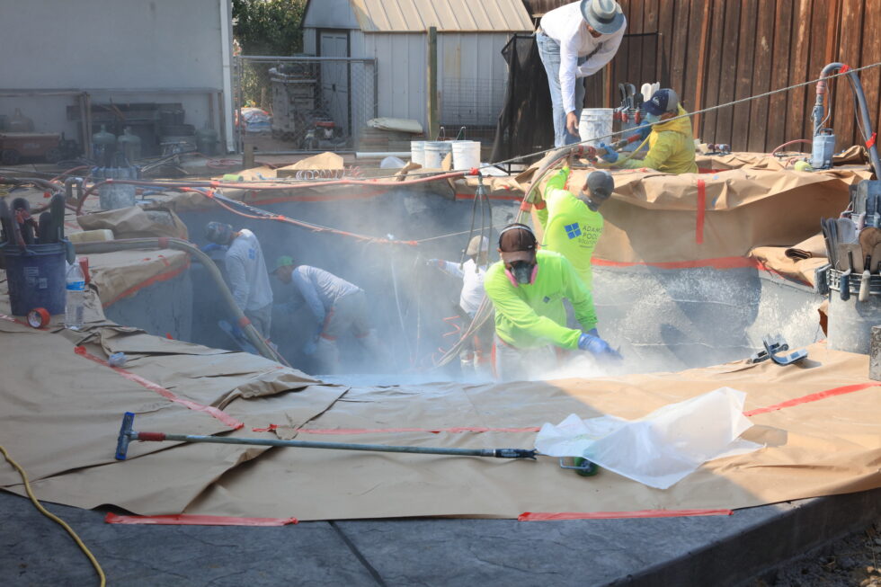 The Process | Pebble Plus