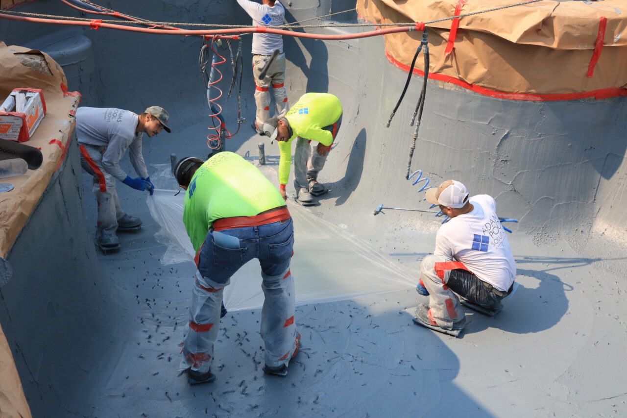 The Process | Pebble Plus